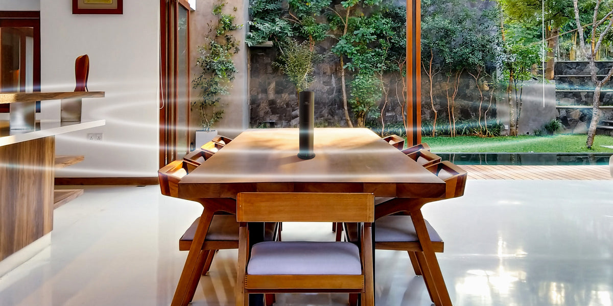 Suite Expectation Scent Experience